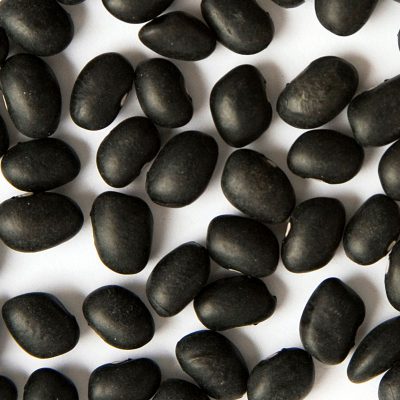 Shop - Zursun Idaho Heirloom Beans